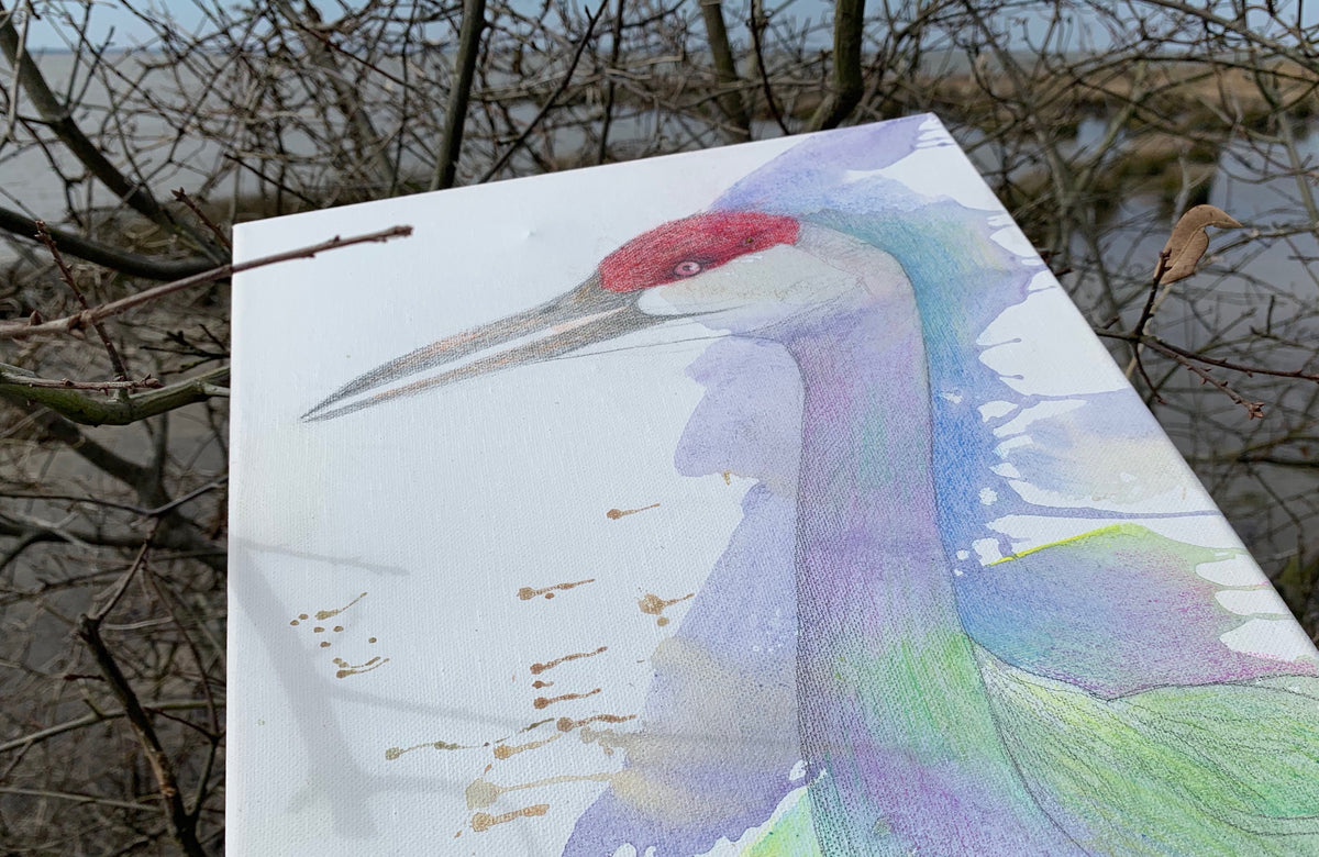 Natural Expressions | Outer Banks Artist, Diane Luke Barth – OUTER ...