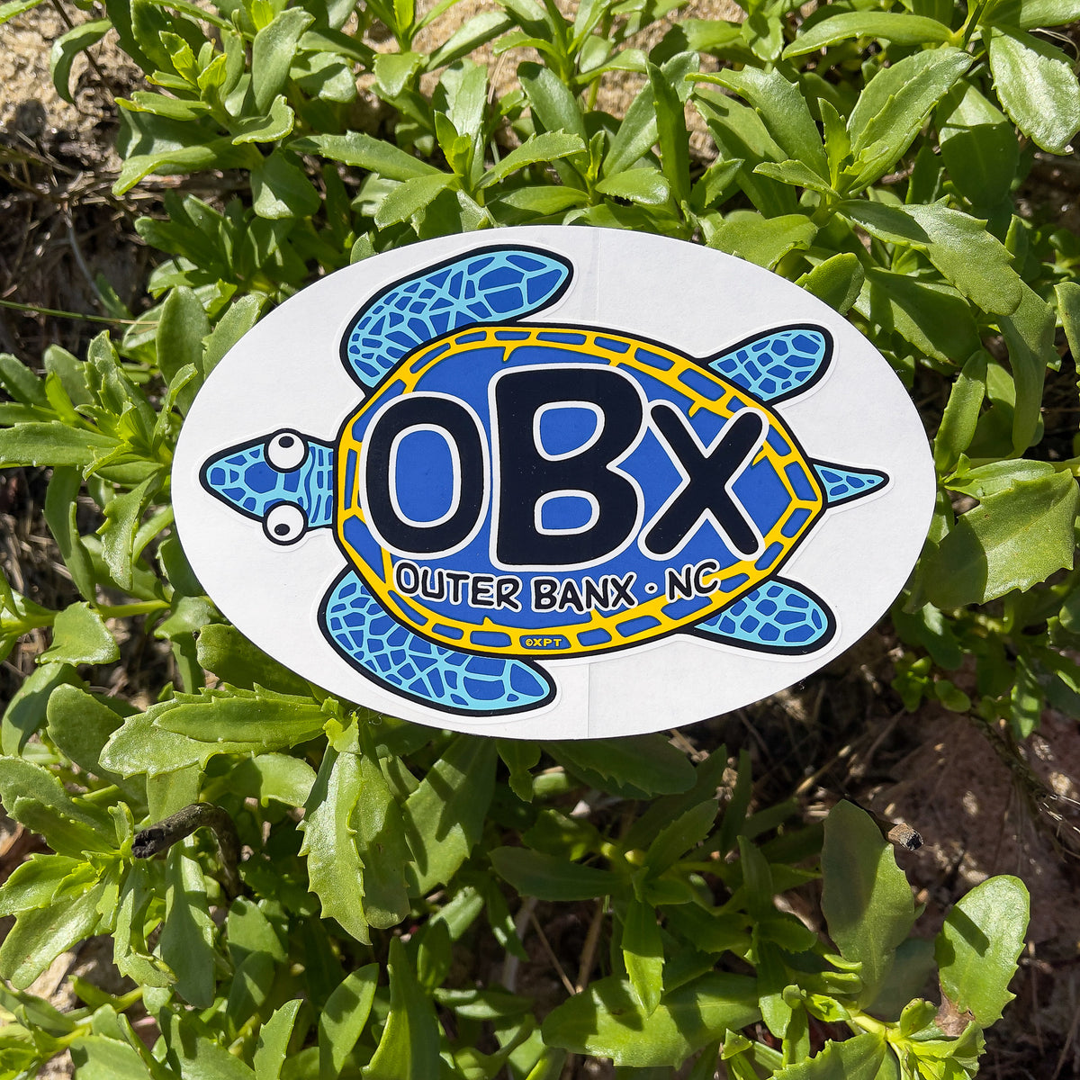 OBX TURTLE STICKER | Outer Banks Gifts from Beach Treasures in Duck ...